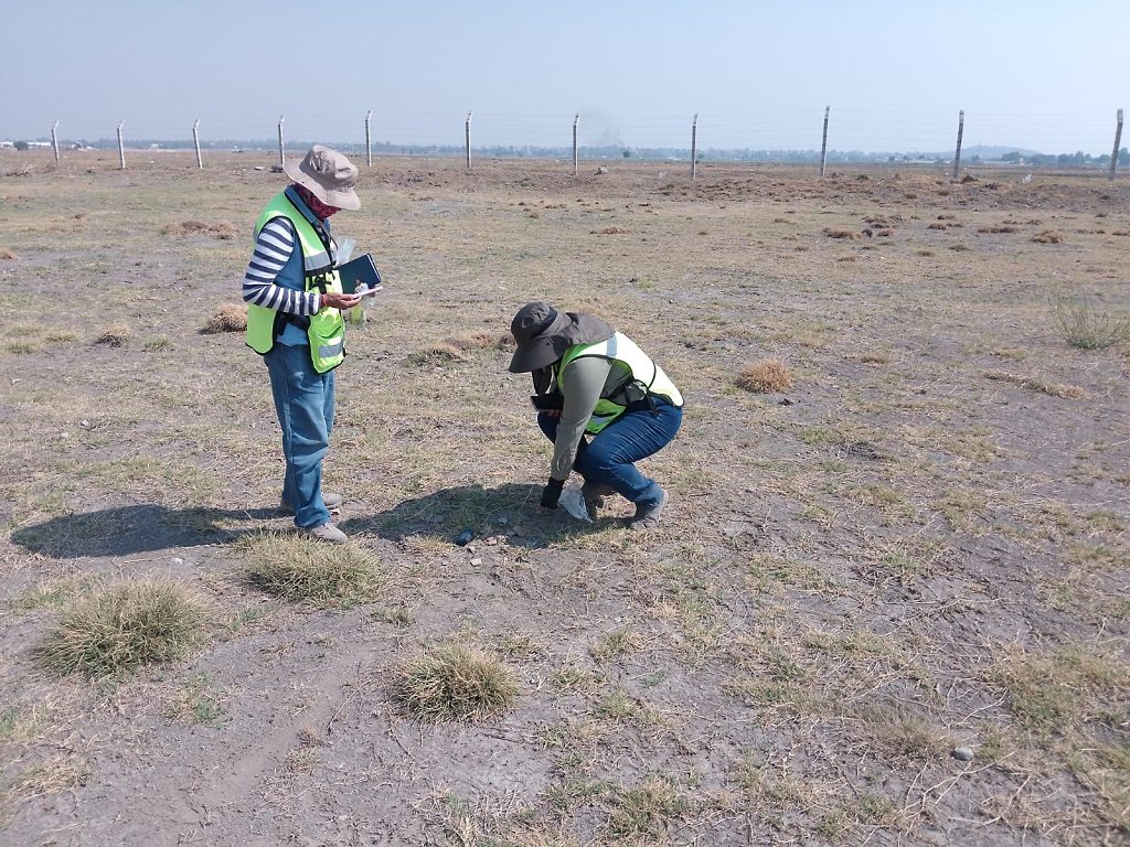 El INAH inicia labores de salvamento arqueológico en las rutas de ...